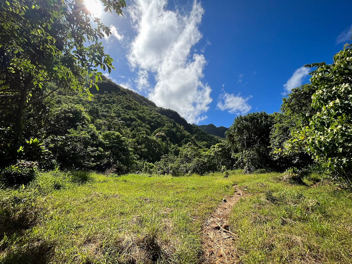 Top 7 Best Beaches in Kauai - This Wandering Soul